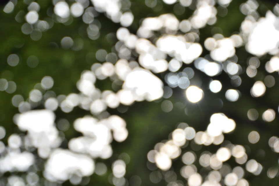 1007(98/15.63MB) - 사진 게시판 - 기글하드웨어