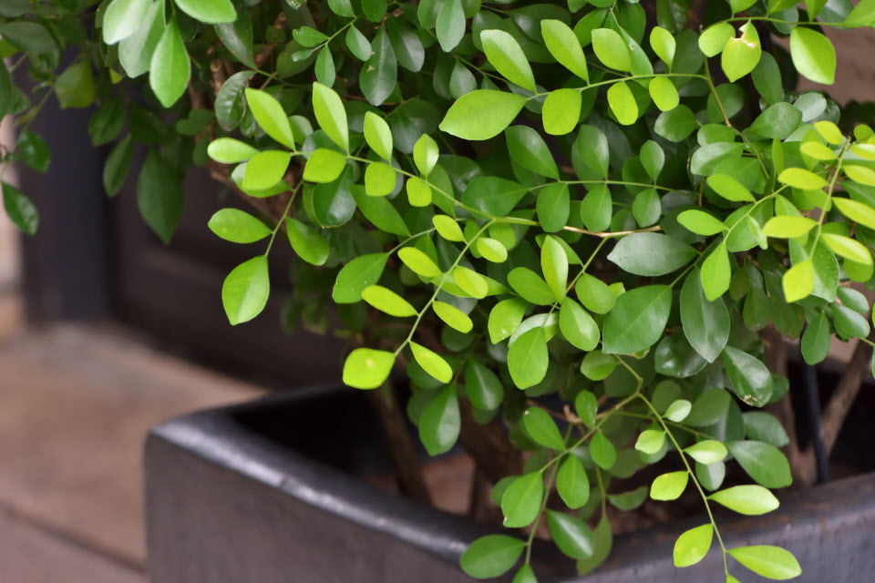 1007(98/15.63MB) - 사진 게시판 - 기글하드웨어