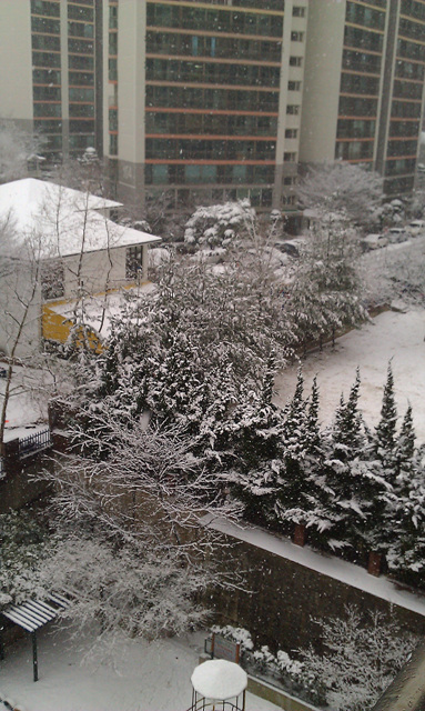 기글 하드웨어 사진 게시판 - 눈이와요.